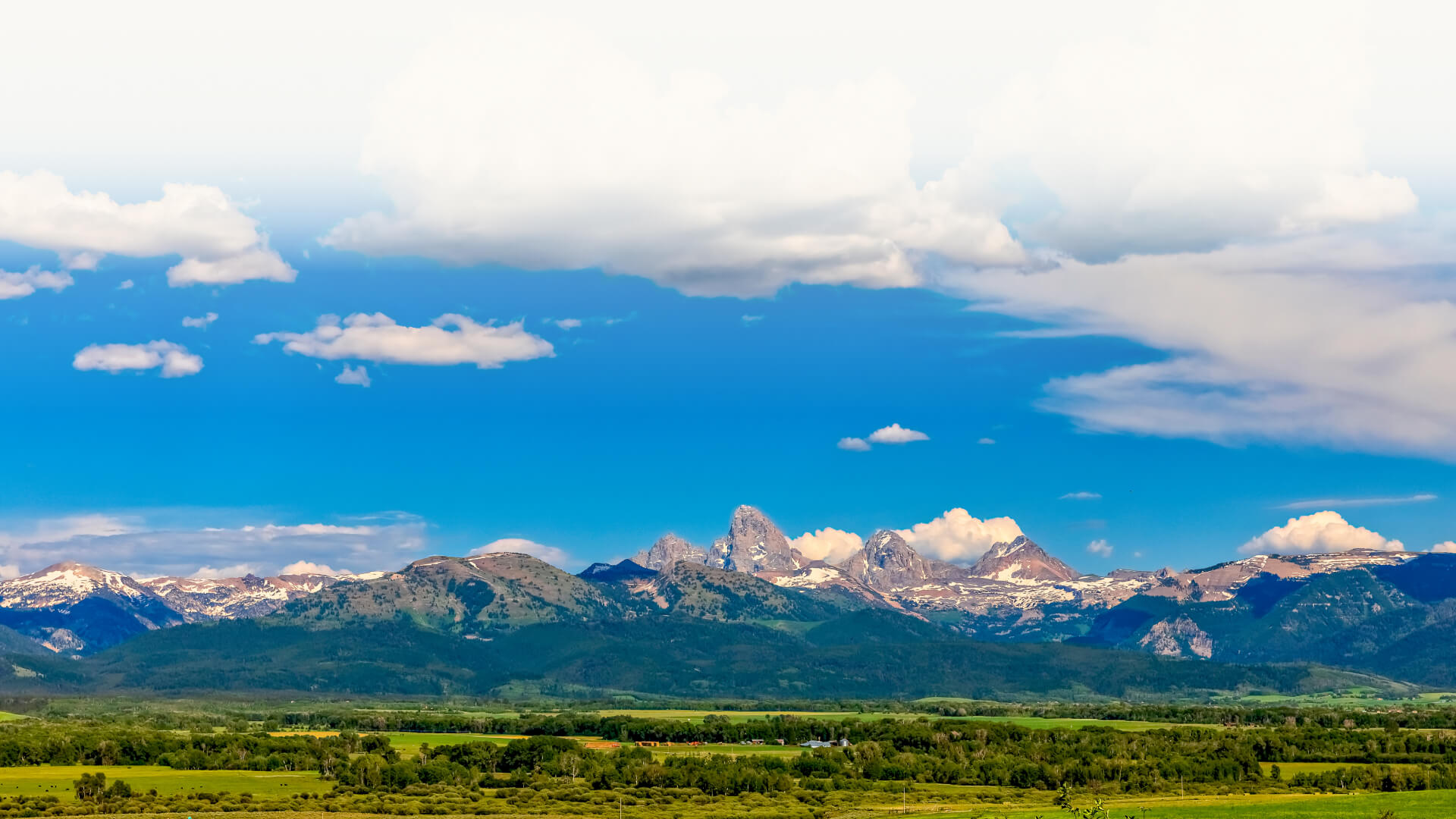 Transparent Idaho